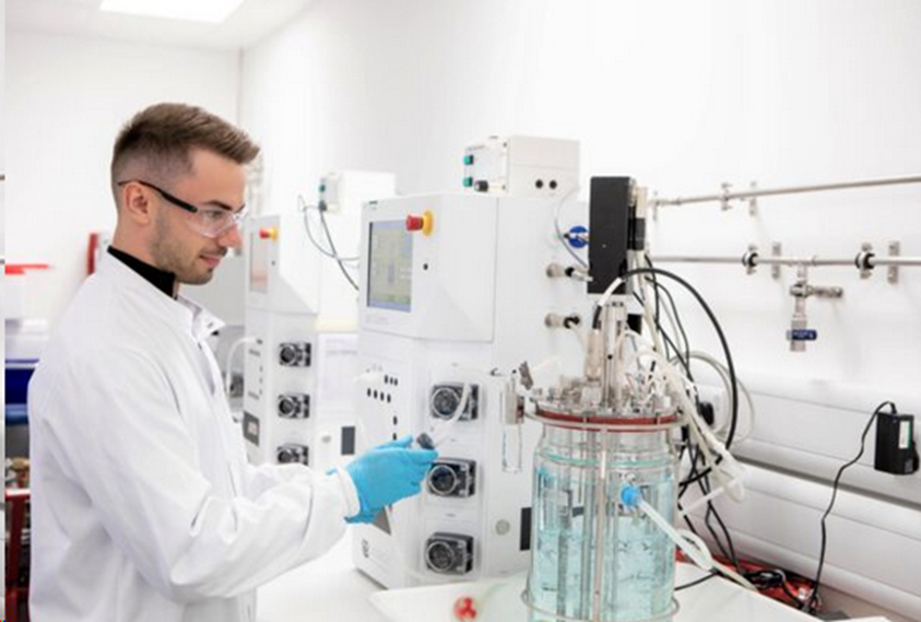 Microbial vs Mammalian Systems: Choosing the Right CDMO Partner for ...